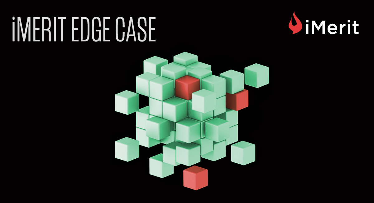 iMerit Edge Case | iMerit