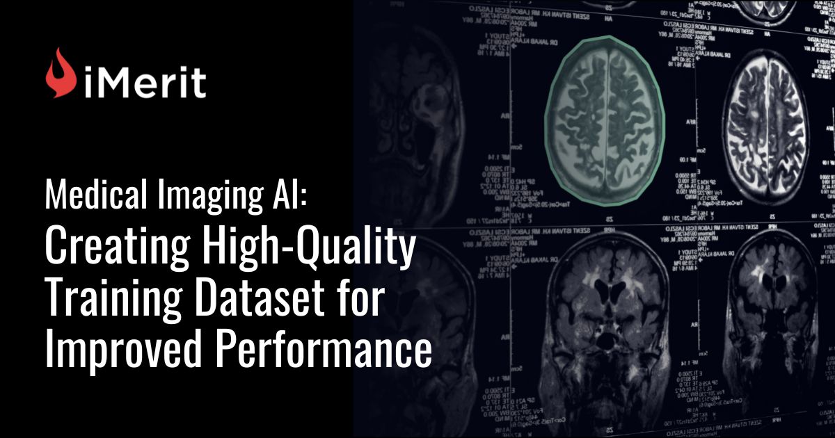 Medical Imaging AI: Creating High-Quality Training Dataset for Improved ...