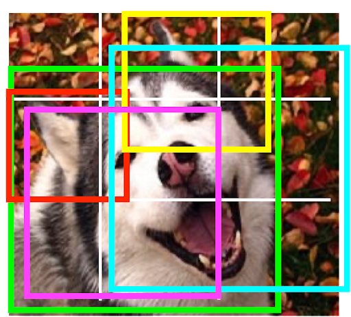 Real Time Object Detection Using Yolo Imerit