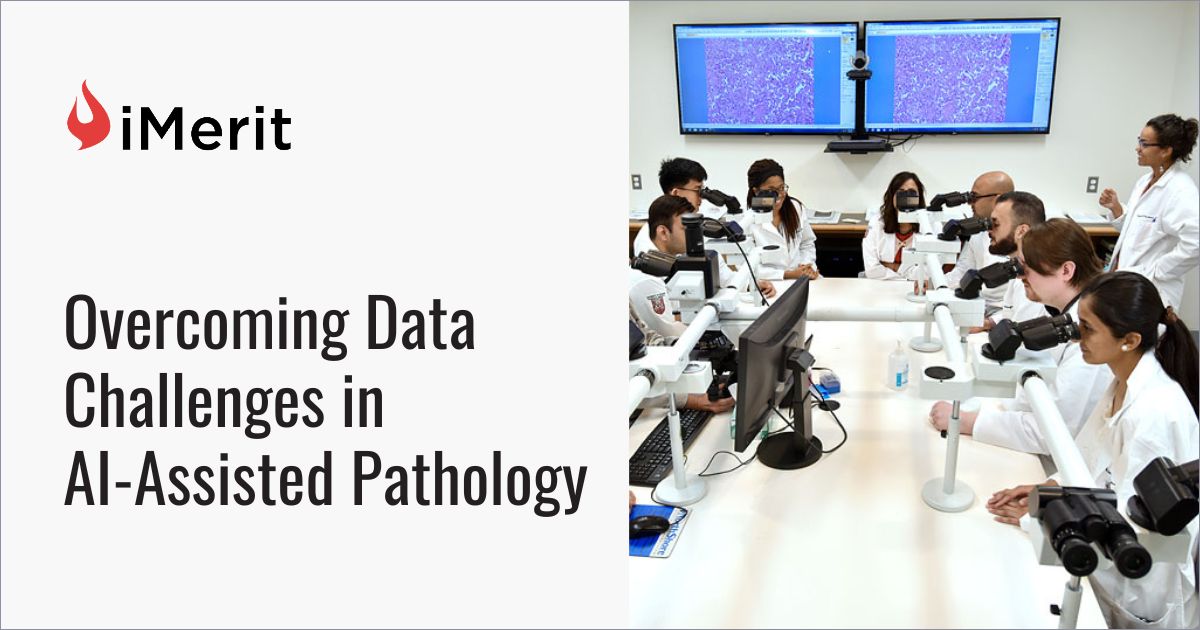 Overcoming Data Challenges In Ai Assisted Pathology Imerit