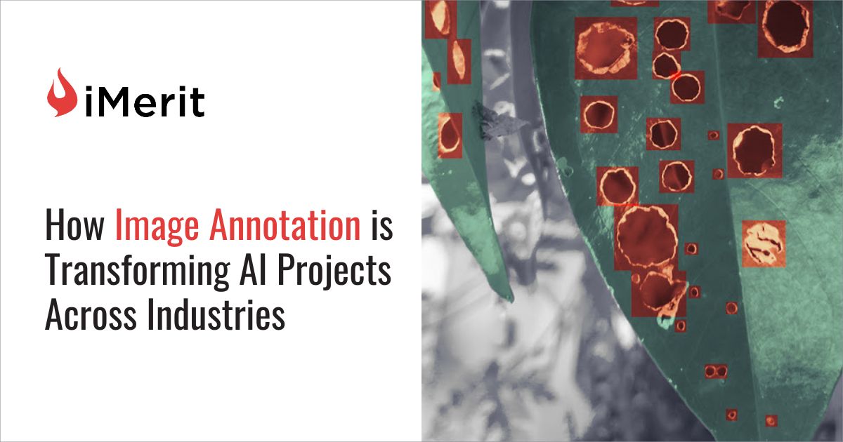 How Image Annotation is Transforming AI Projects Across Industries - iMerit How Image Annotation is Transforming AI Projects Across Industries - iMerit
