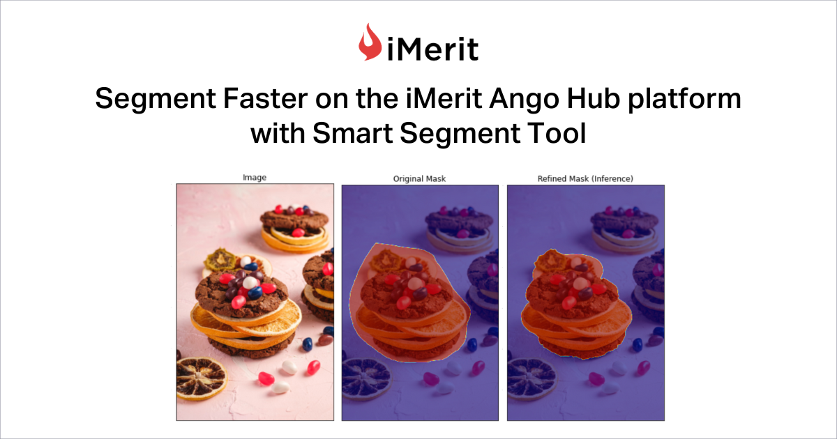Segment Faster on the iMerit Ango Hub platform with Smart Segment Tool - iMerit
