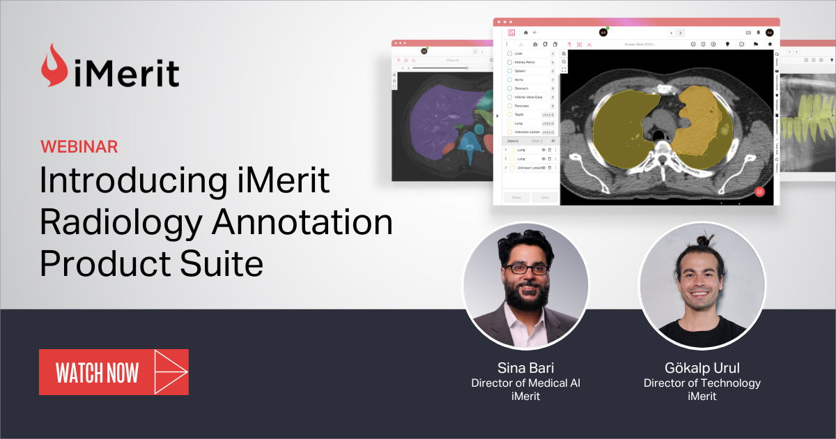 iMerit Radiology Annotation Product Suite
