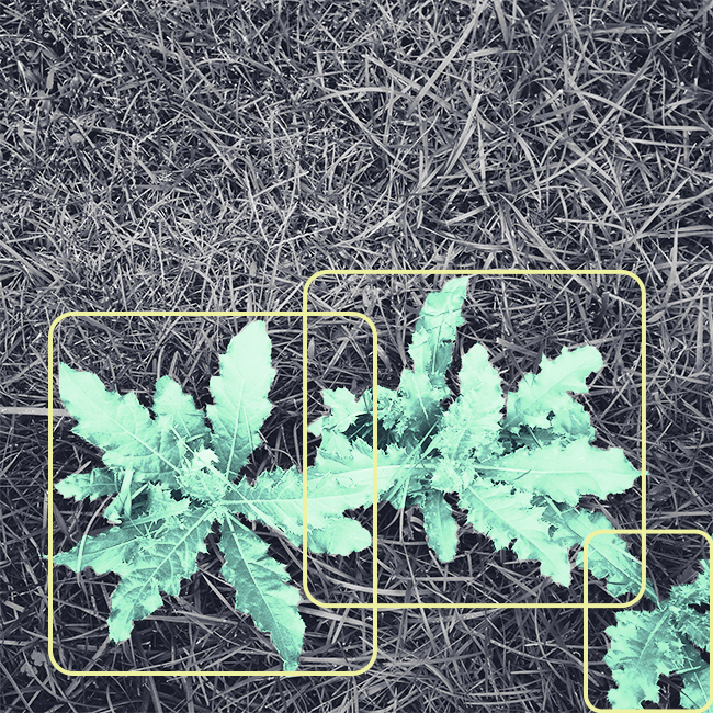 Top Data Labeling Tools & Techniques for Precision Agriculture - iMerit