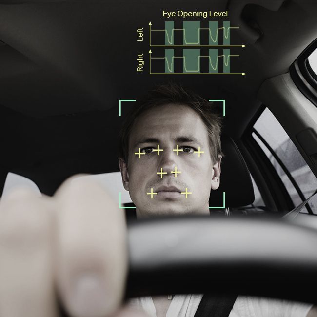 The Role Of In Cabin Data And Annotation Solutions For Driver