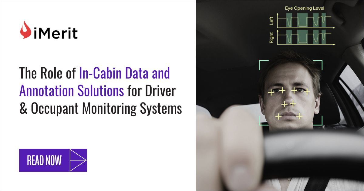 The Role Of In Cabin Data And Annotation Solutions For Driver