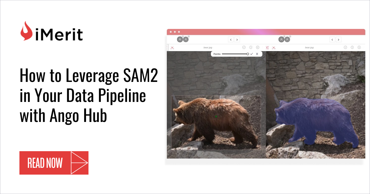 How to Leverage SAM2 in Your Data Pipeline with Ango Hub - iMerit