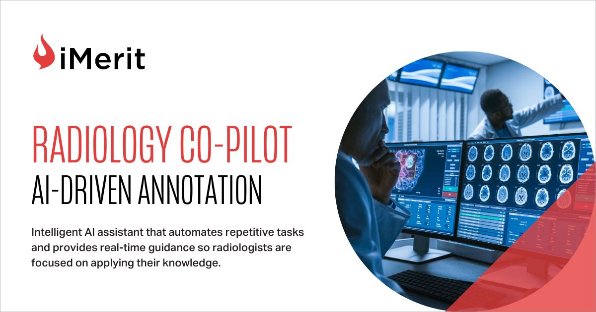 Medical Image Data Annotation Co-pilot iMerit
