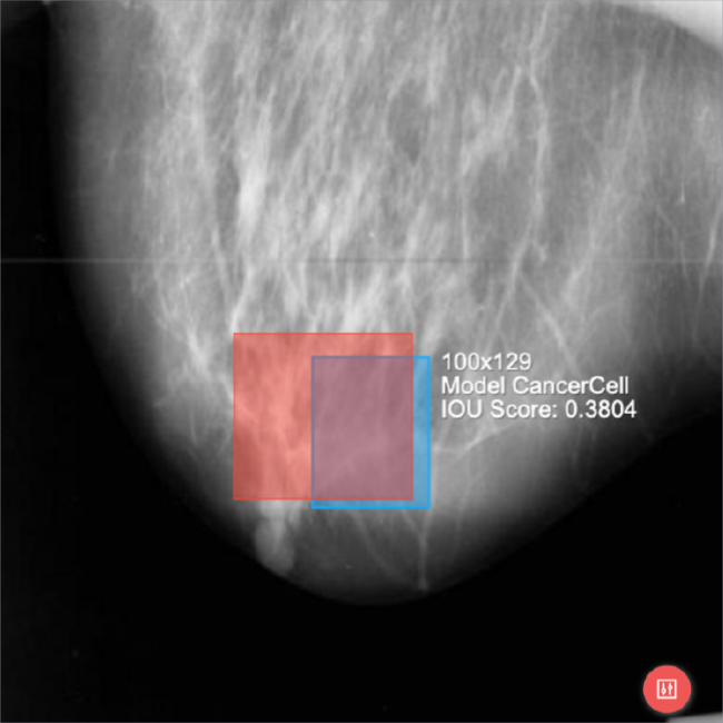 Medical Image Annotation: A Complete Guide for Healthcare AI