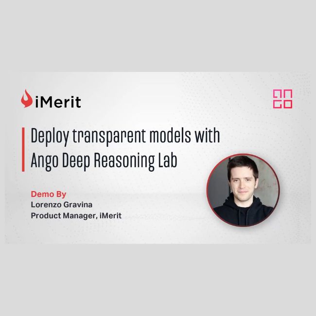 Ango Hub Deep Reasoning Lab by iMerit - iMerit
