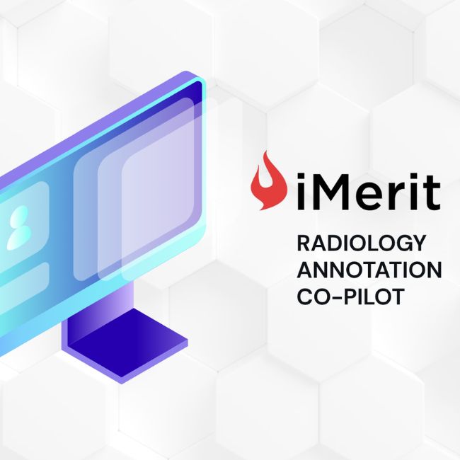 iMerit's Radiology Co Pilot - iMerit